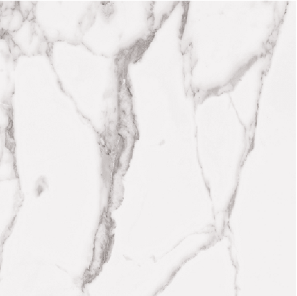 Statuary - White Polish 24 x 48 — HM Flooring Group
